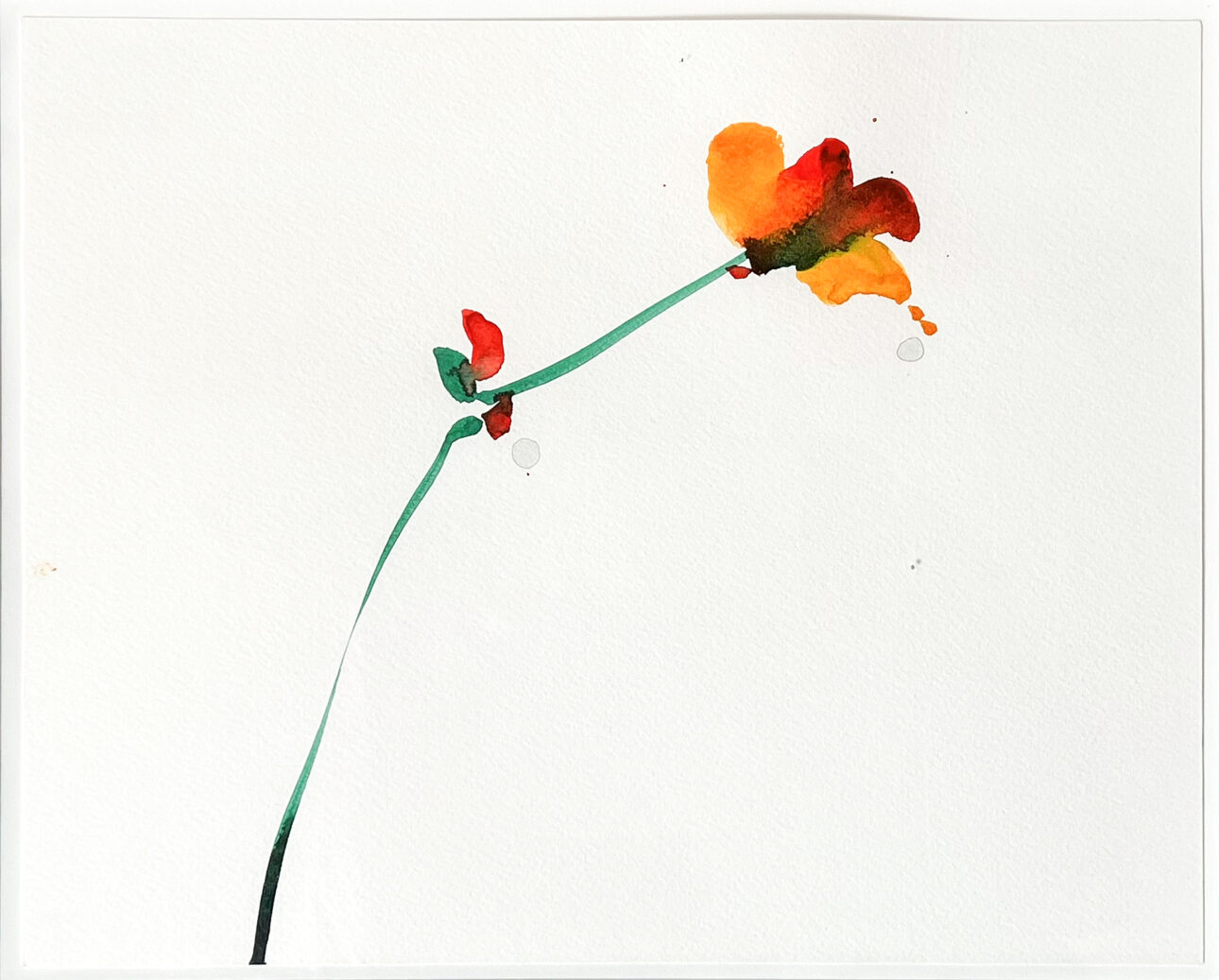 Home Round Table 5 Berlin